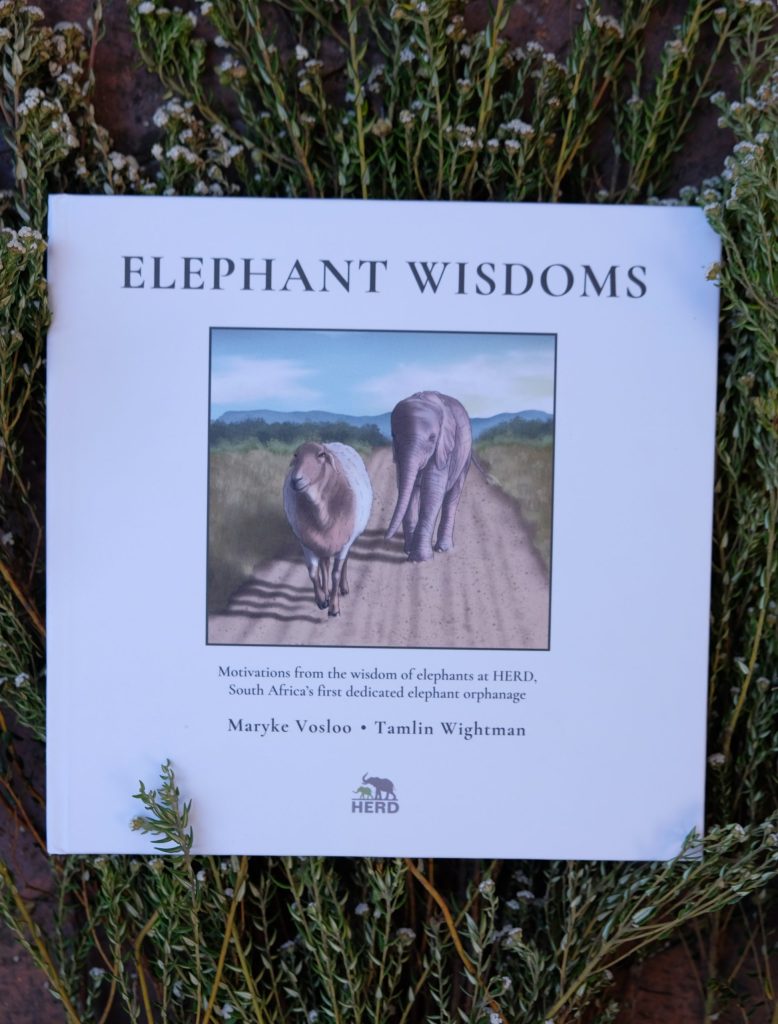 Wisdom Book - Shop HERD